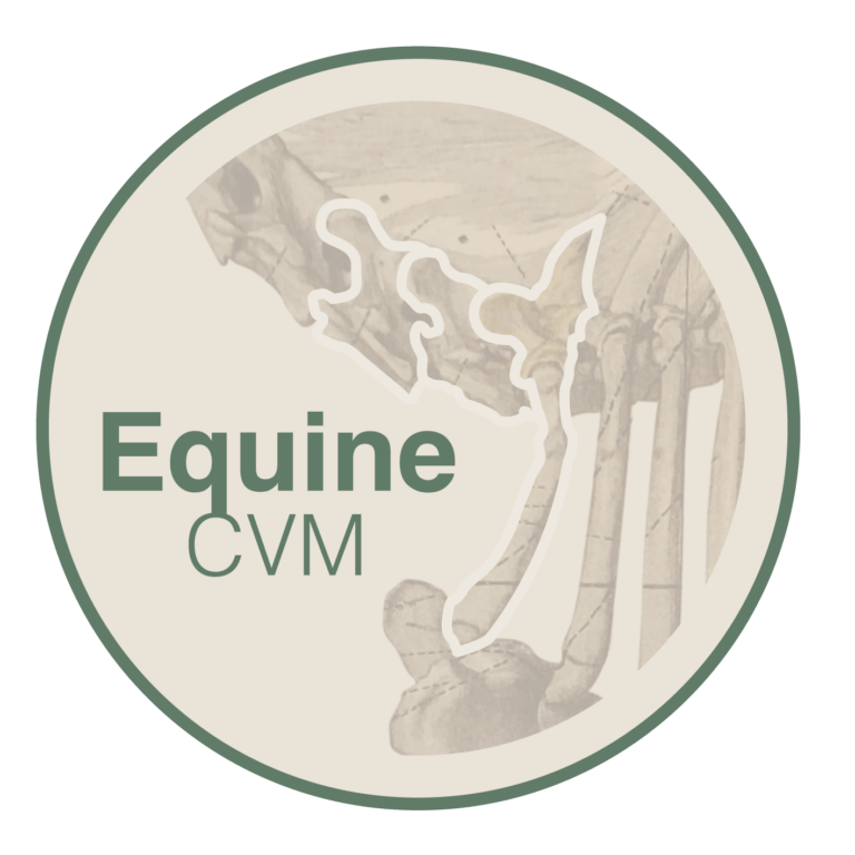 ECVM - Equinecvm